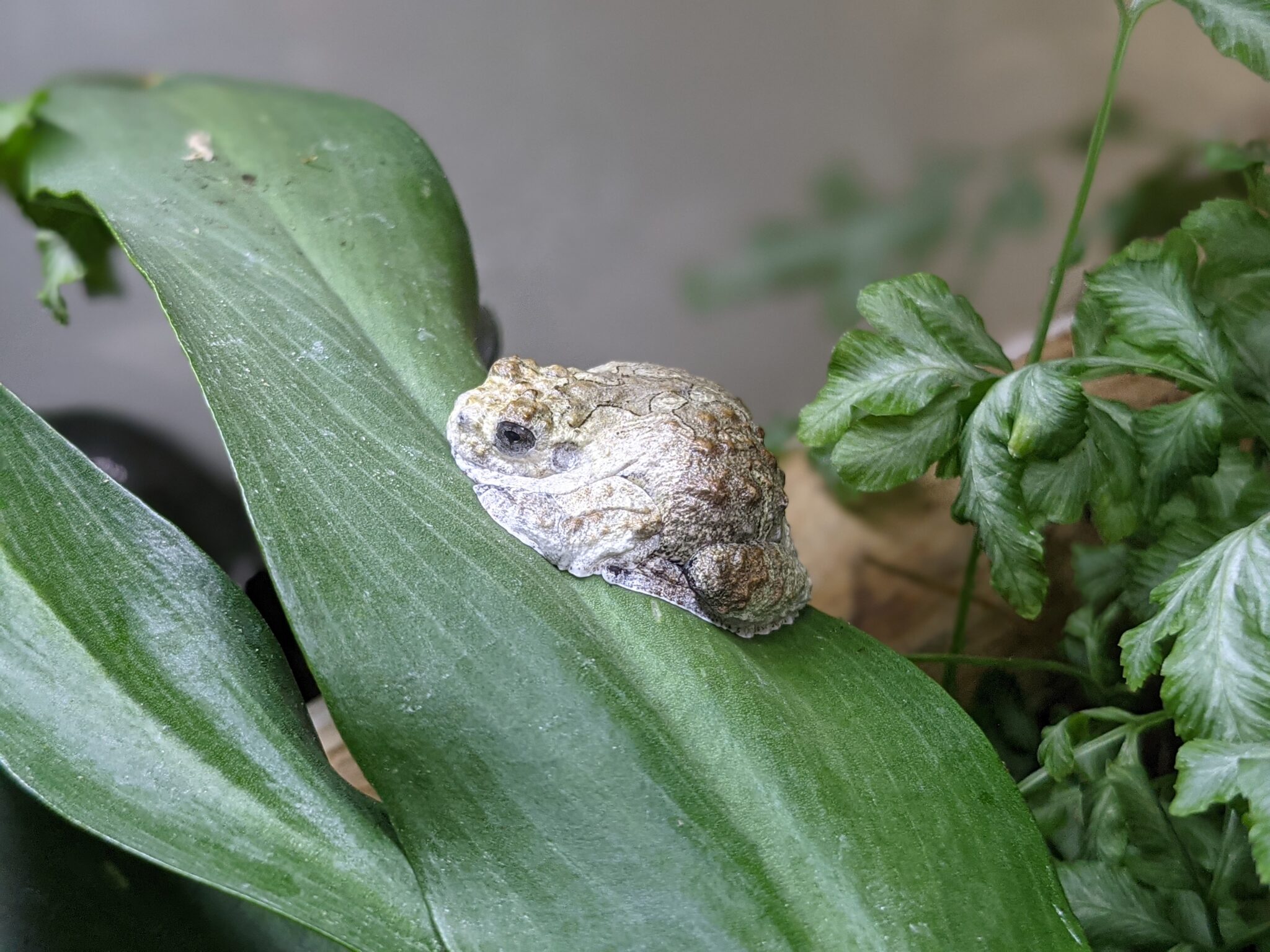 Zoology Zone - Hershey Gardens