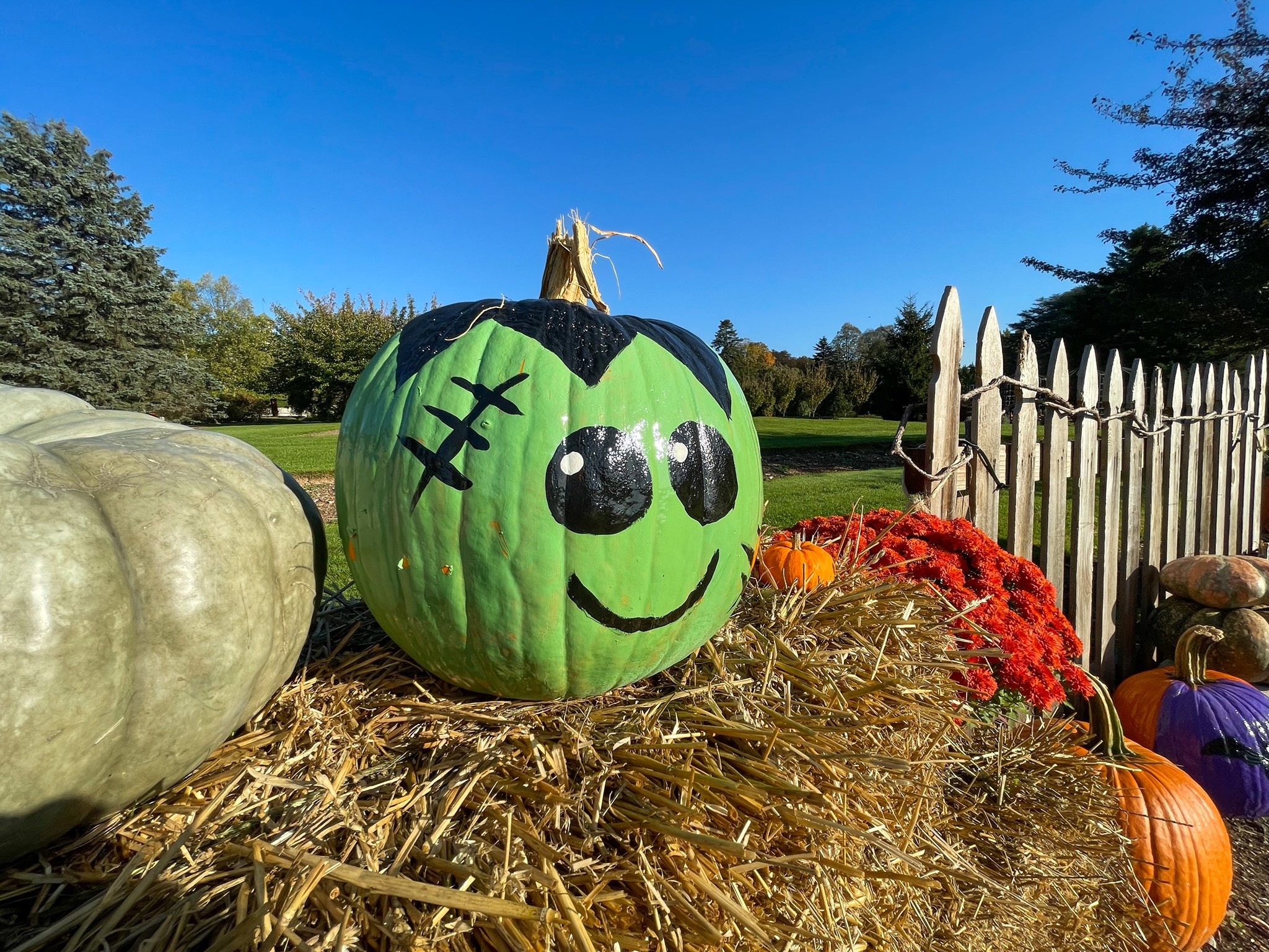 Pumpkin Palooza - Hershey Gardens