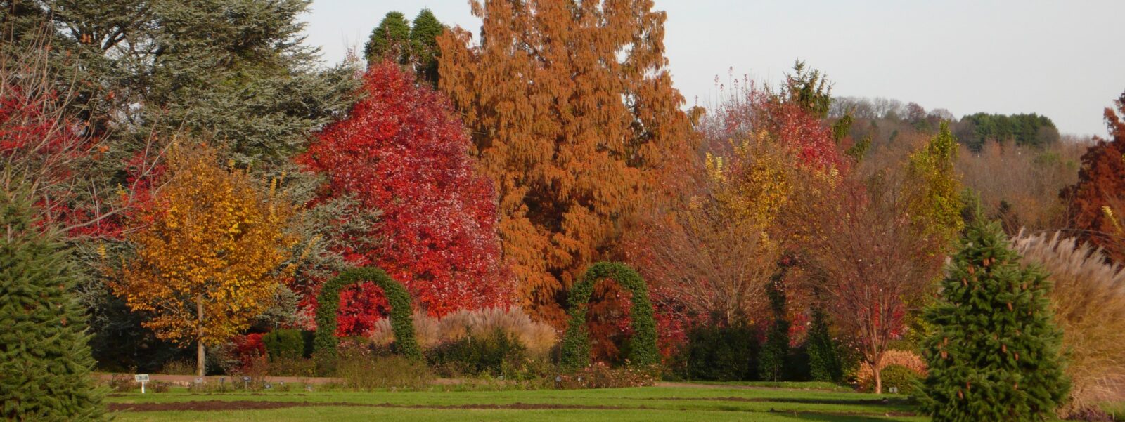 Autumn Garden Walk - Hershey Gardens