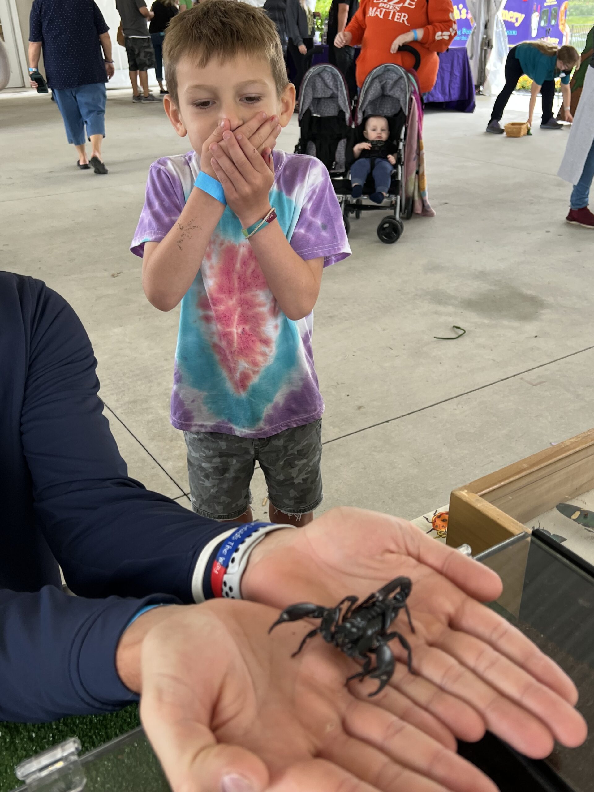 Bug-O-Rama - Hershey Gardens