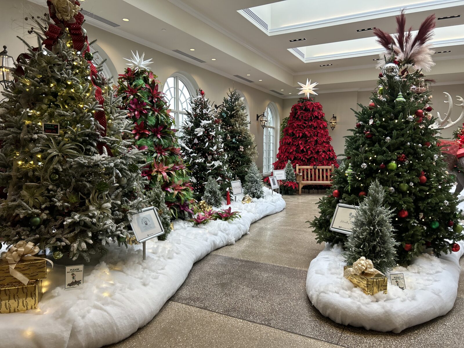 Christmas Tree Showcase - Hershey Gardens