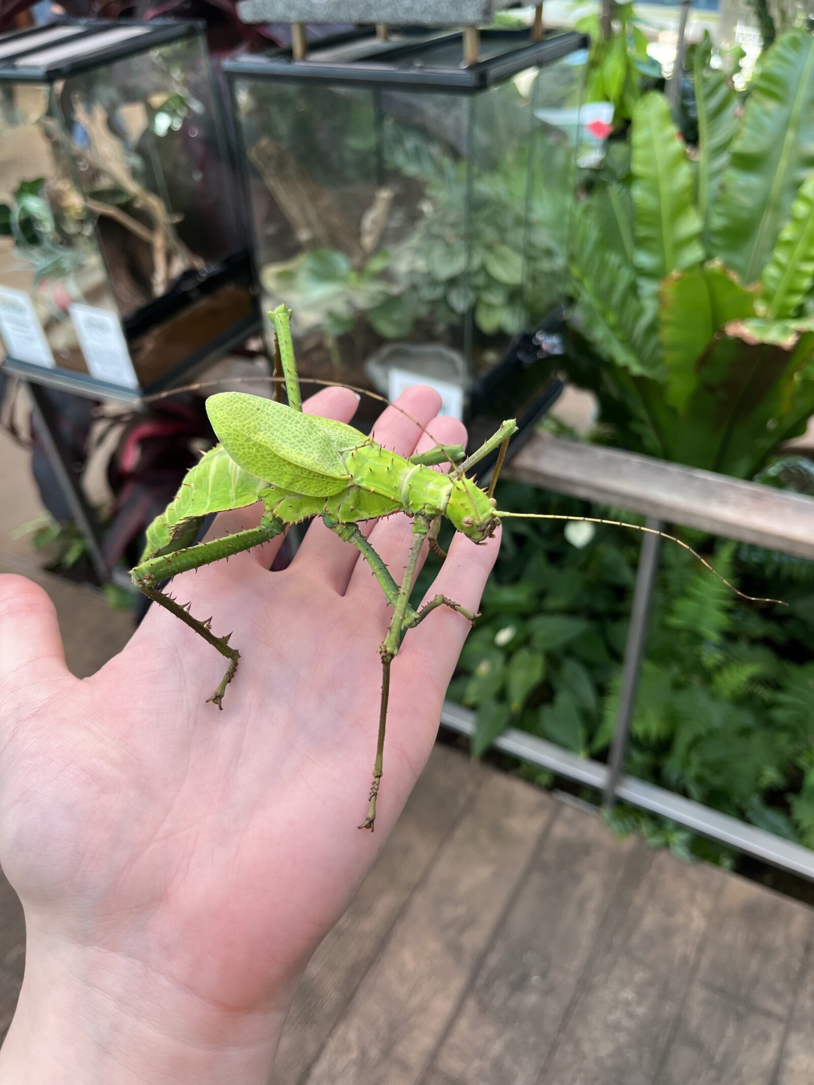 Winter Wednesdays - Hershey Gardens